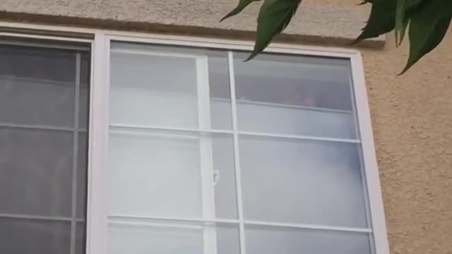 Among the Hidden Book Report Movie Trailer | Assumption School