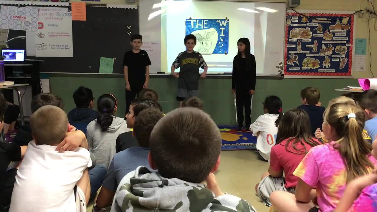 The Wings | Peter Muschal Elementary School