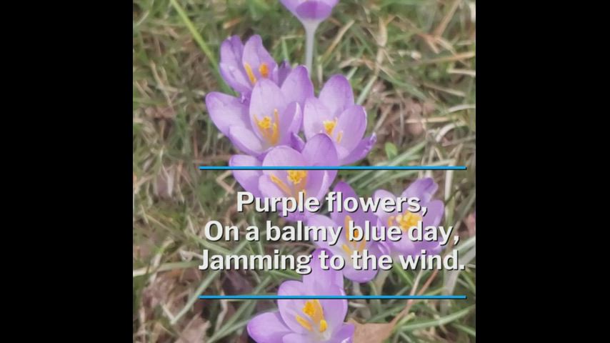 Creative Writing Courses | City Kidz World