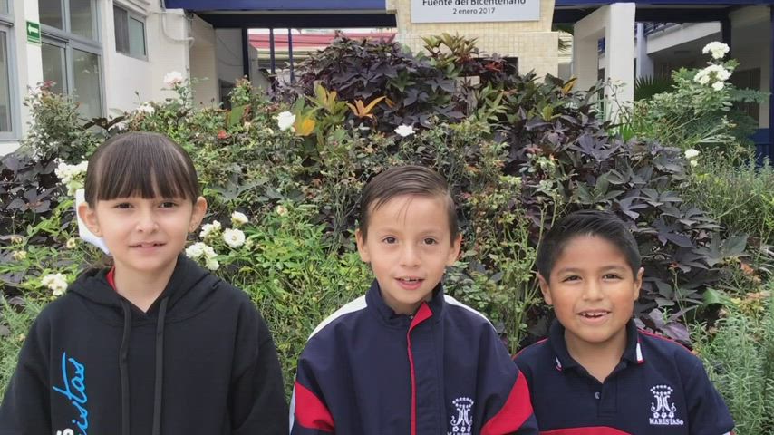 Colegio Franco Mexicano