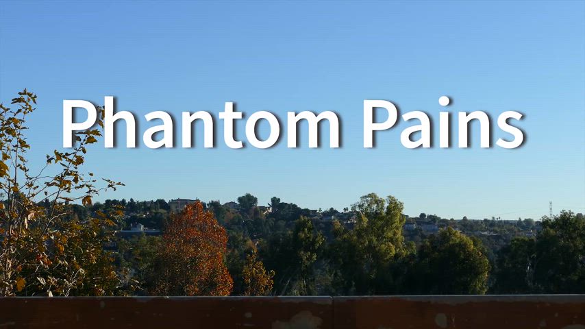 Joy Hata and Jianlan Busteed Chao - Phantom Pains | Diamond Bar High School