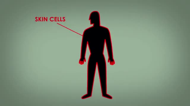 How we conquered the deadly smallpox virus | Hancock High School