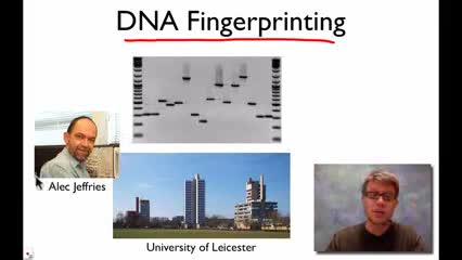 DNA Fingerprinting | Kealakehe High School