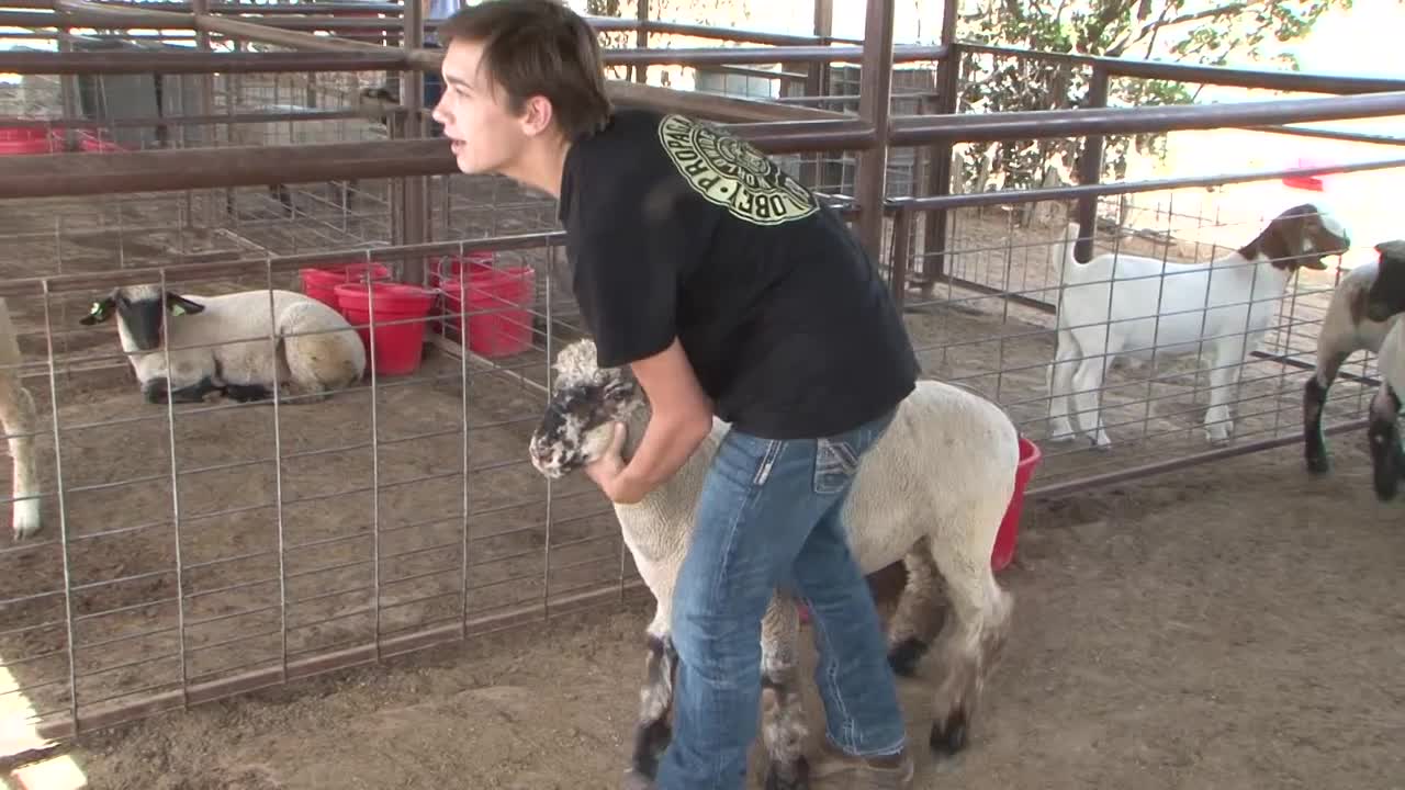 Agriculture | Kern High School District