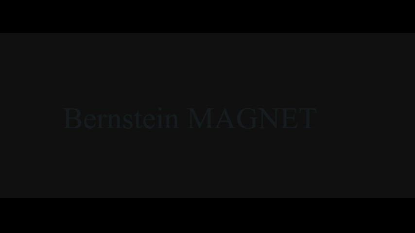Video Gallery | Helen Bernstein Cinematic Arts & Creative Tech Magnet