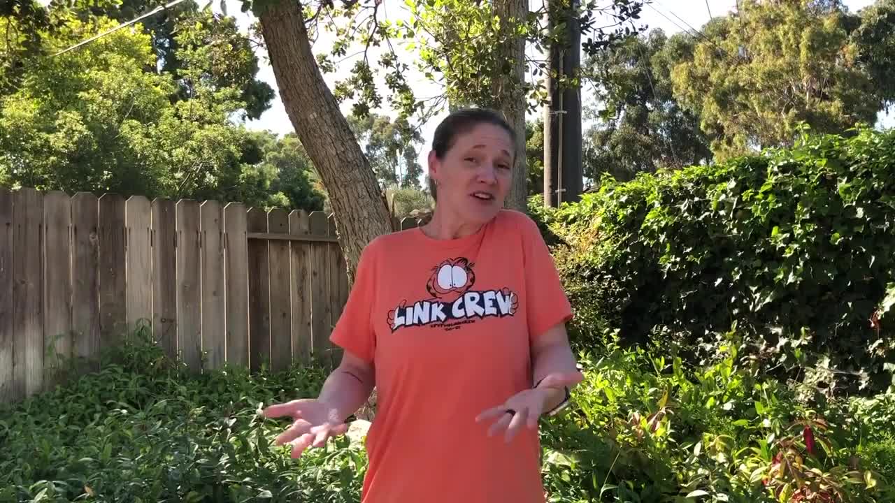 Orientation 2020 With the PVPHS Link Crew | Palos Verdes Peninsula High ...