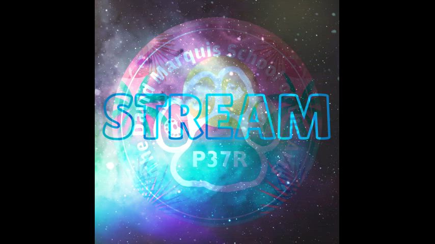 STREAM | P 37R: The David Marquis School of the Arts