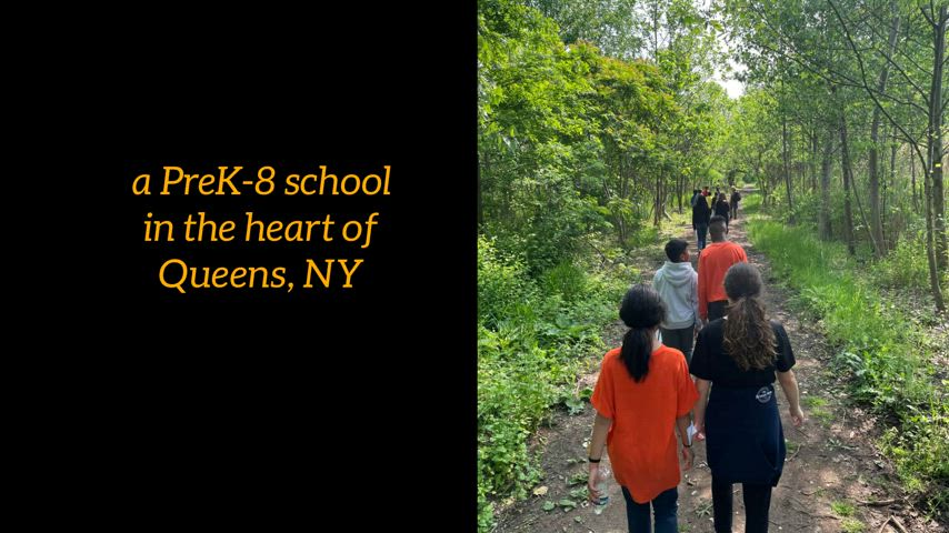 Video Gallery | PS/MS 164 Queens Valley School of the Arts