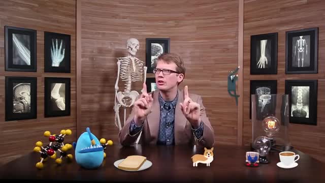 CRASH COURSE NERVOUS SYSTEM Part I | Blackman High School