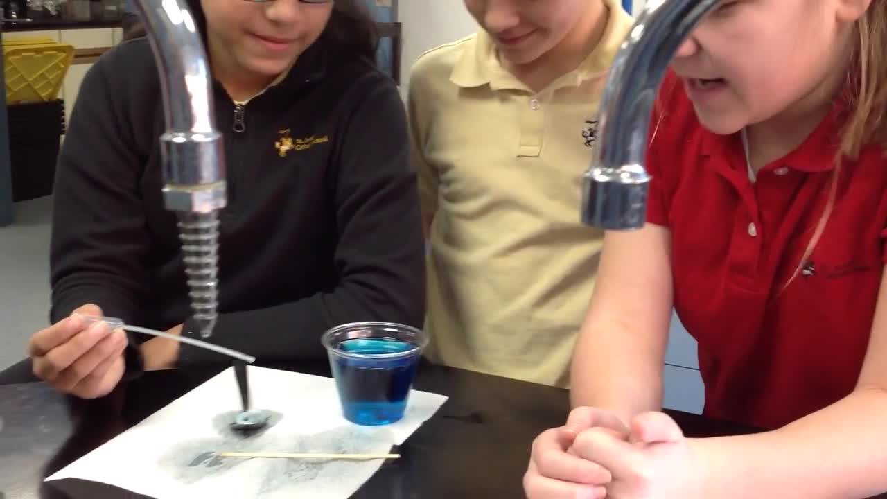 Oil Spill Lab Room 10 | St. Joseph Catholic School