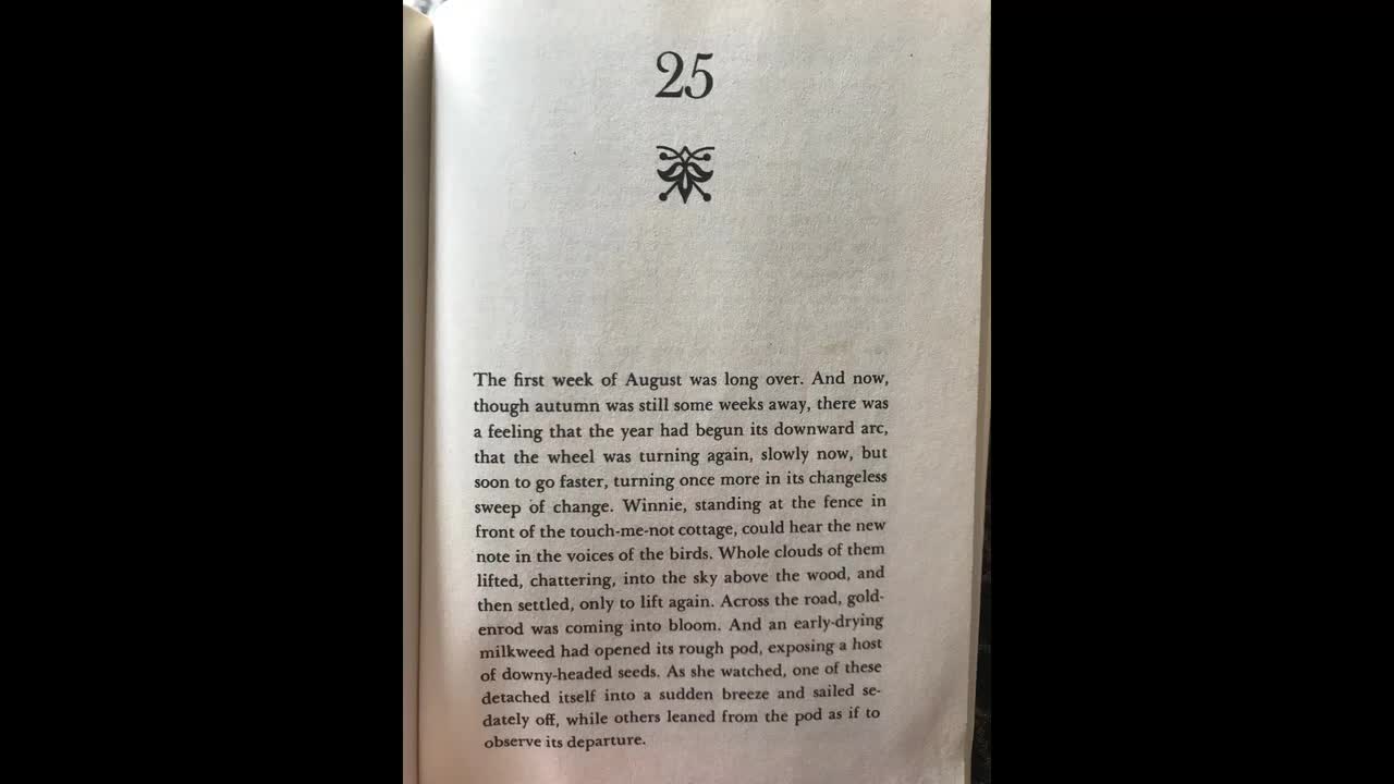 4th Grade Tuck Everlasting Chapter 25 | South Todd Elementary School