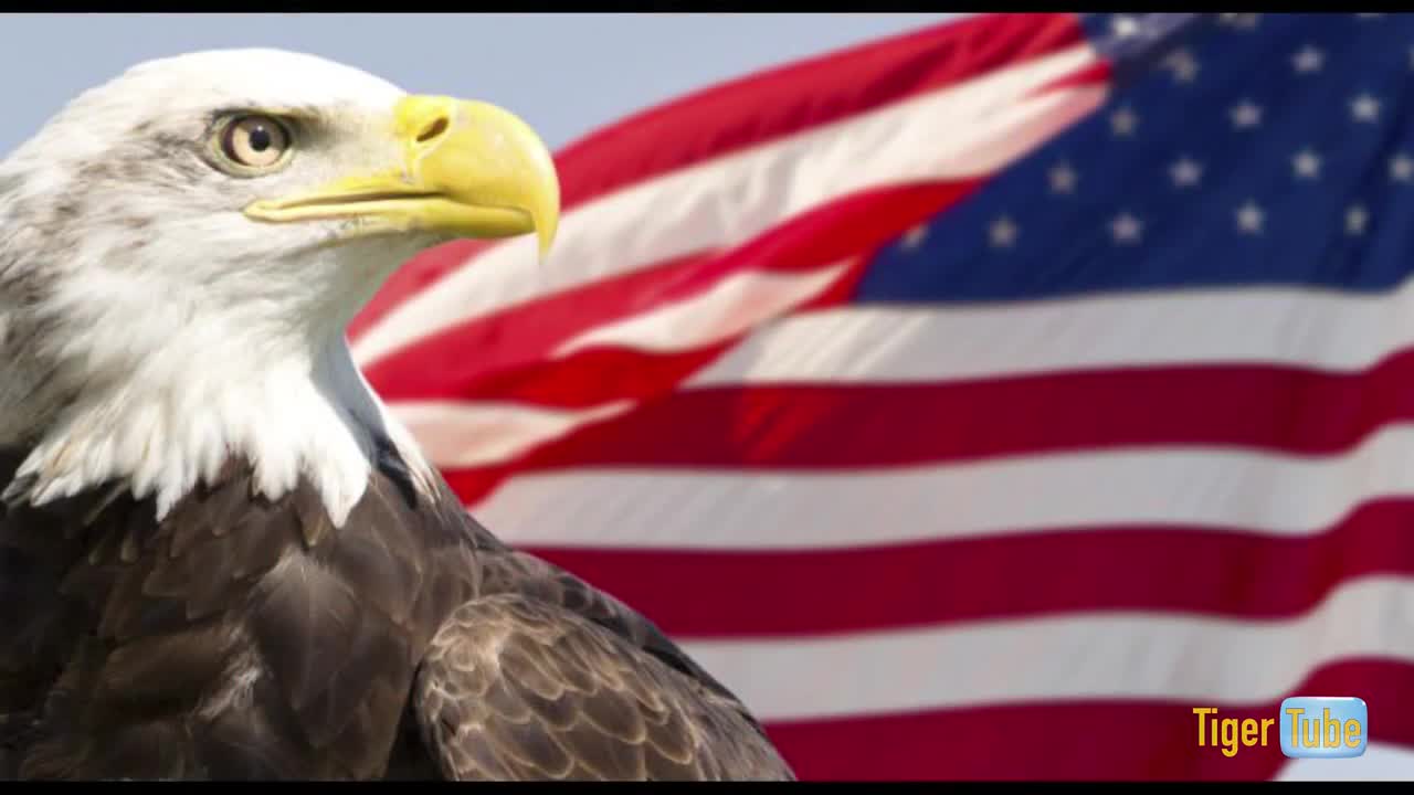 Tiger Tube 12/9/2016 | Valencia High School