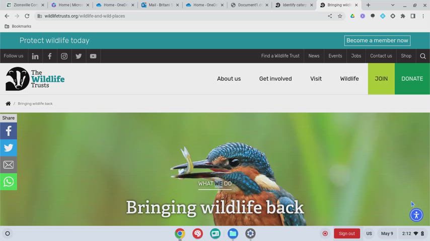 Chromebook Feature - Enable Reverse Scrolling | Zionsville Community ...